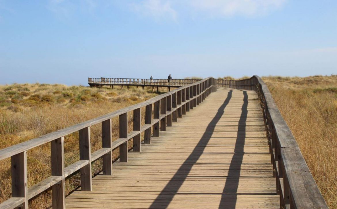 Praia de Alvor: The Complete Guide to the #1 Beach of Alvor