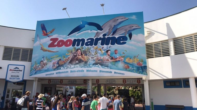 Zoomarine Algarve: the #1 Guide To This Popular Water Theme Park