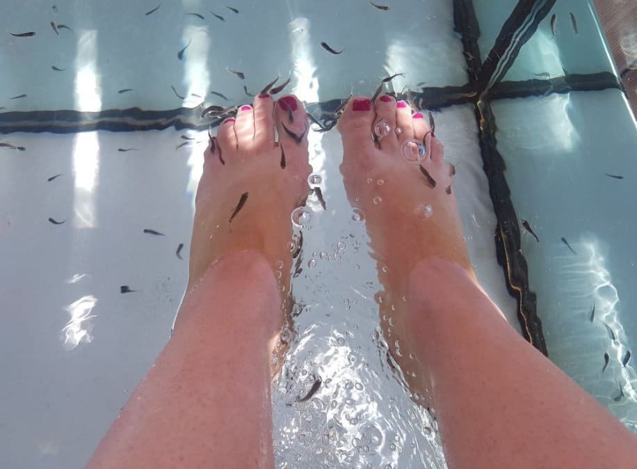 Slide & Splash: the Complete Guide To This Popular Water Park