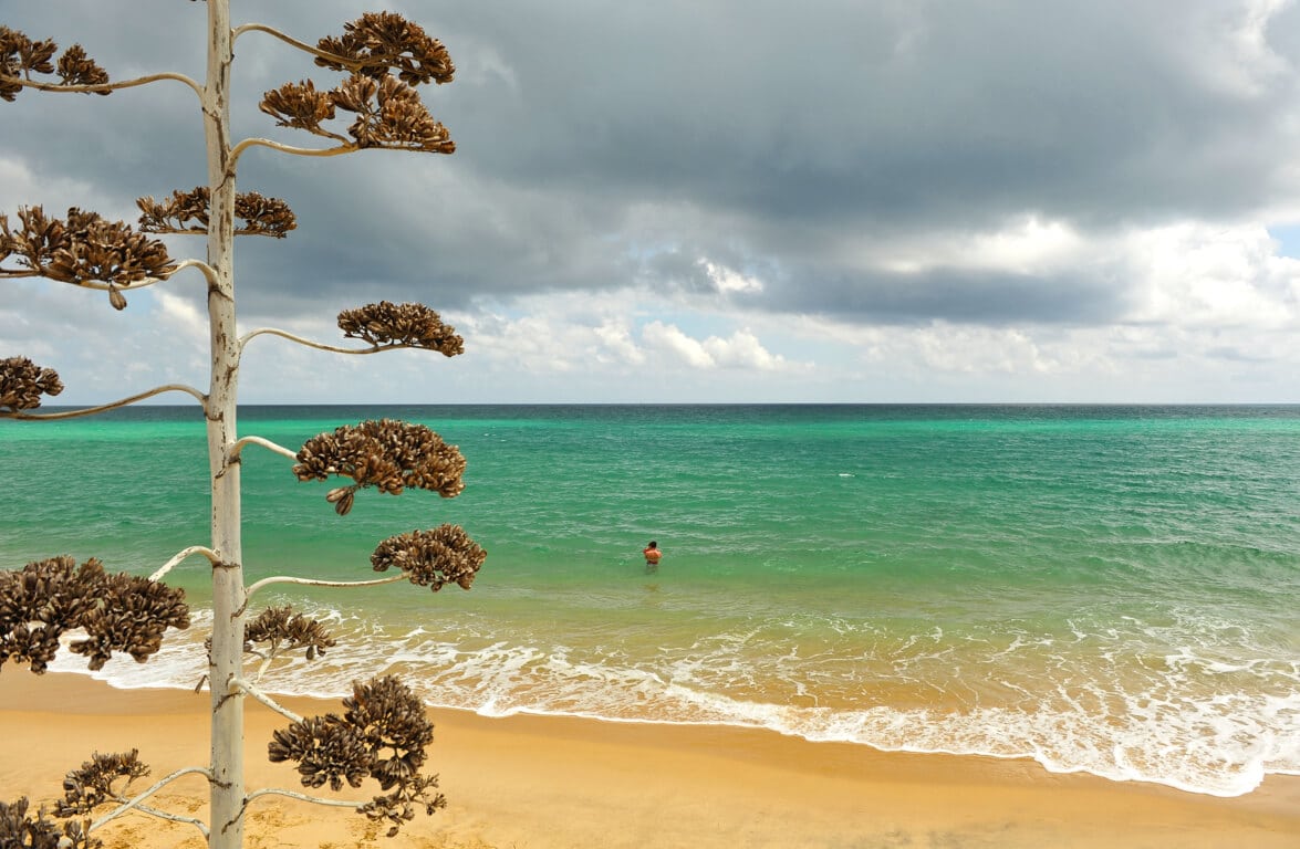 Ilha da Culatra: The Complete Guide to The #1 Island of the Algarve